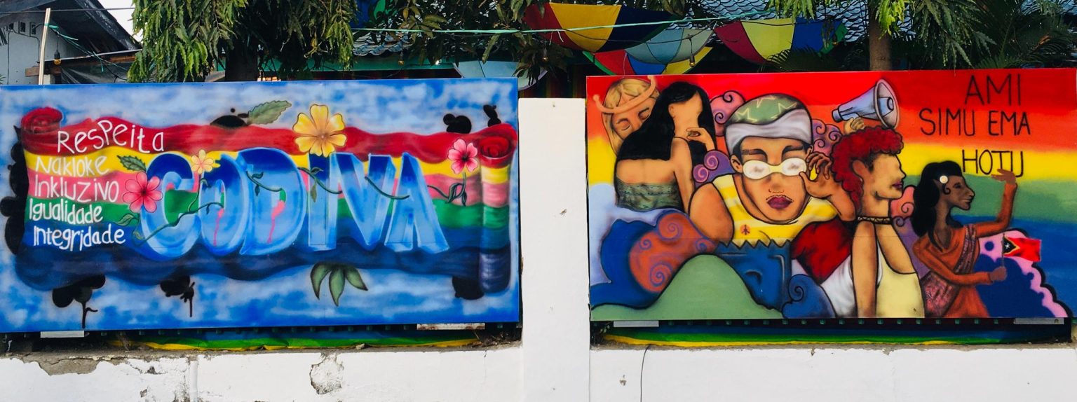 Fundasaun CODIVA Selebrasaun Mini-Pride hodi Haburas Solidariedade iha ...